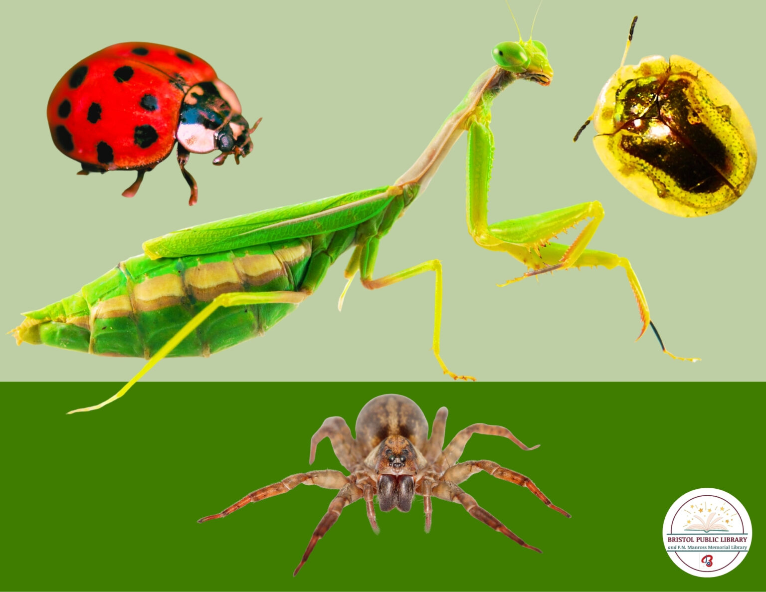 Arthropods in Your Garden - Bristol Public Library